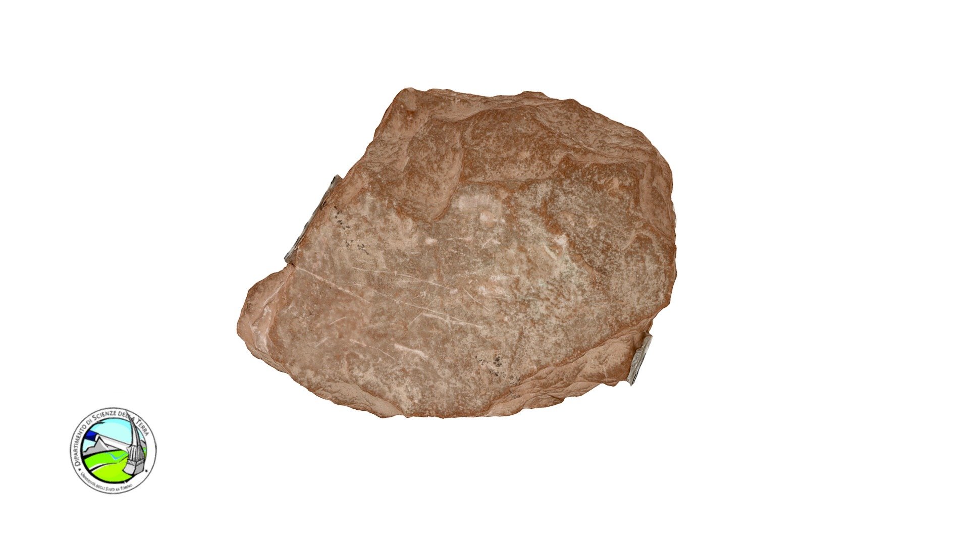 S80 - Wackestone a foraminiferi - 3D model by Dipartimento di Scienze ...