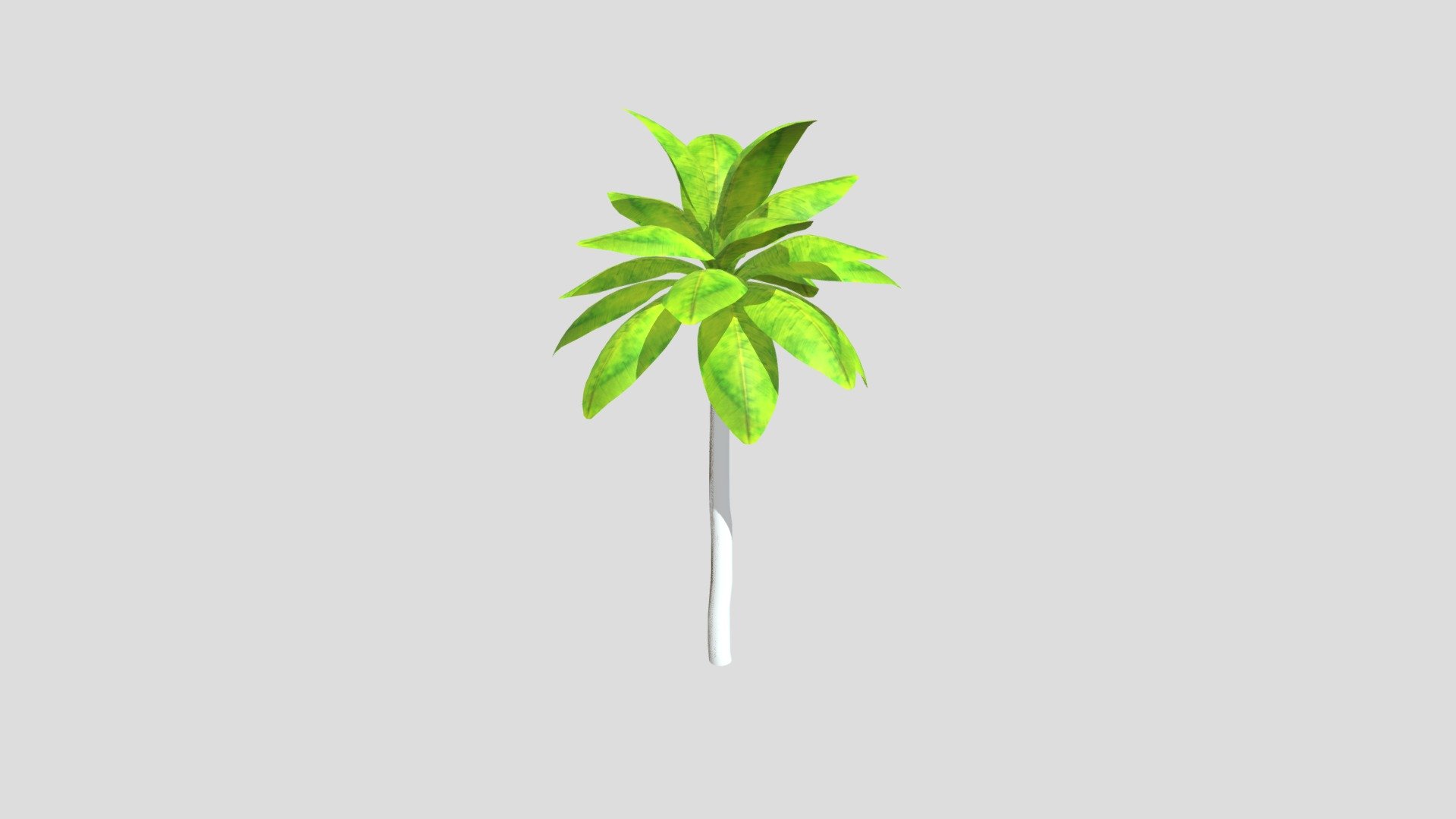palm_tree_export - 3D model by chloebeato [db5bdbc] - Sketchfab