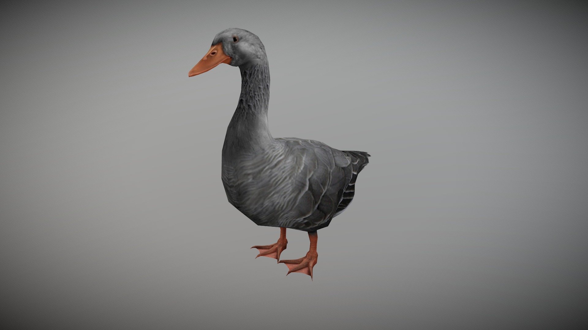 DUCK GRAY ANIMATED - Buy Royalty Free 3D model by Bilal Creation ...