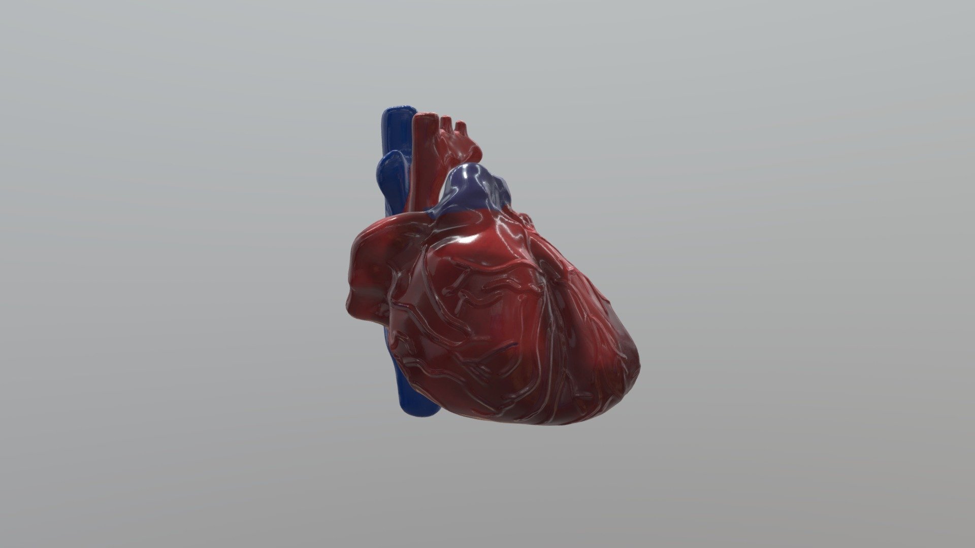 Heart - 3D model by yukee1102 [db6d969] - Sketchfab