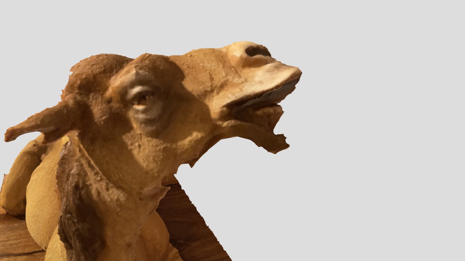 Crazy Camel - 3D model by clementeCgr [db719d9] - Sketchfab