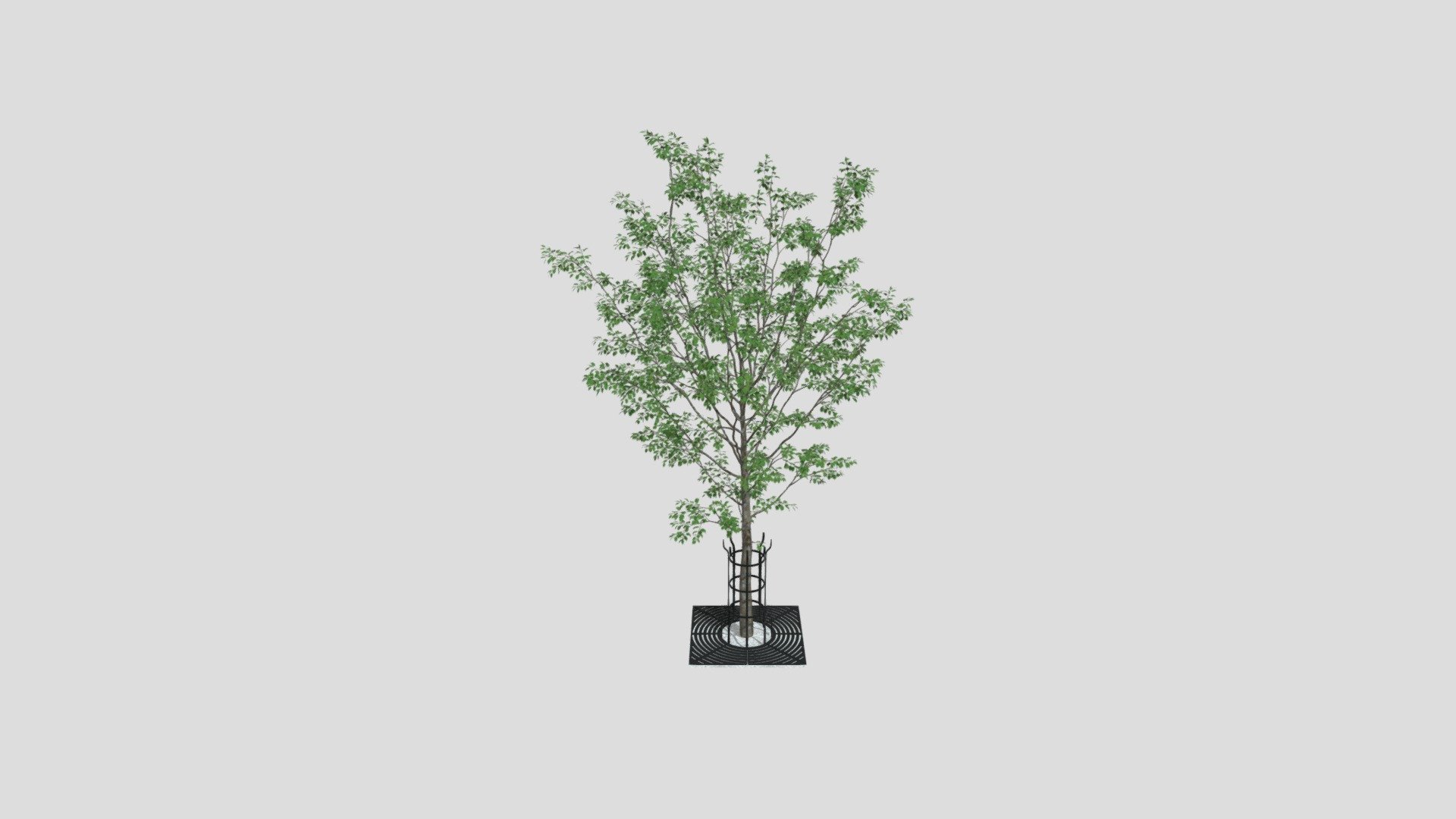 tree 22 AM207 Archmodel - Buy Royalty Free 3D model by Evermotion ...