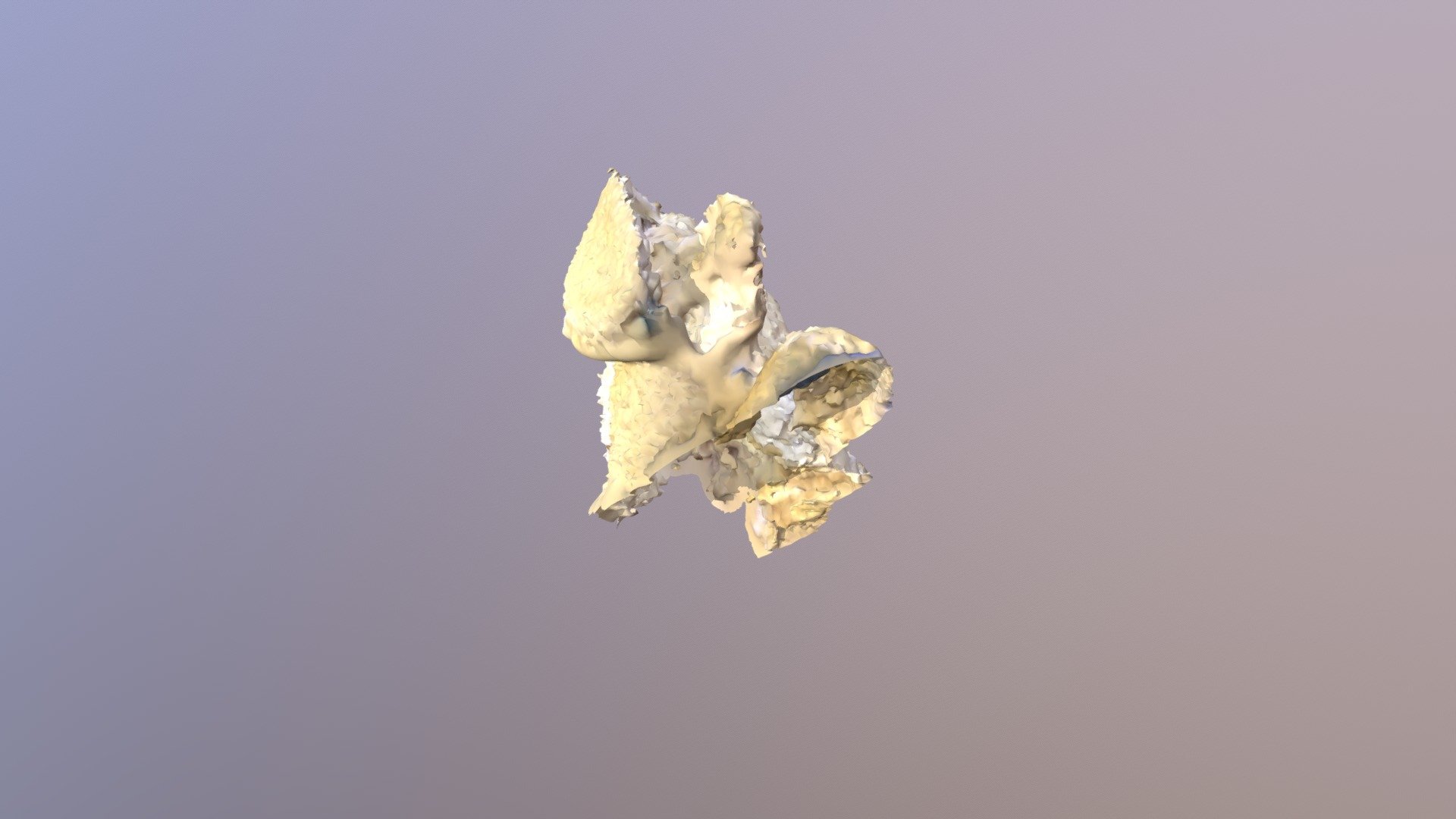 Flatty - 3D model by wenigeralsb [db791c4] - Sketchfab