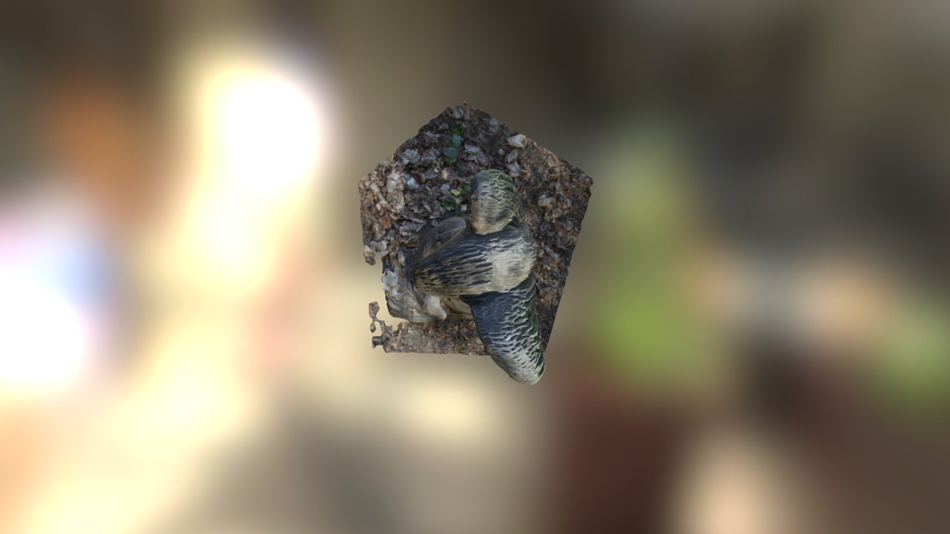 Example Eagle Simplified 3d Mesh - 3D model by support_p4 [db7eefc ...