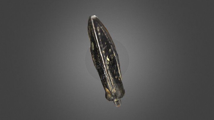 Arrowhead 3D models - Sketchfab