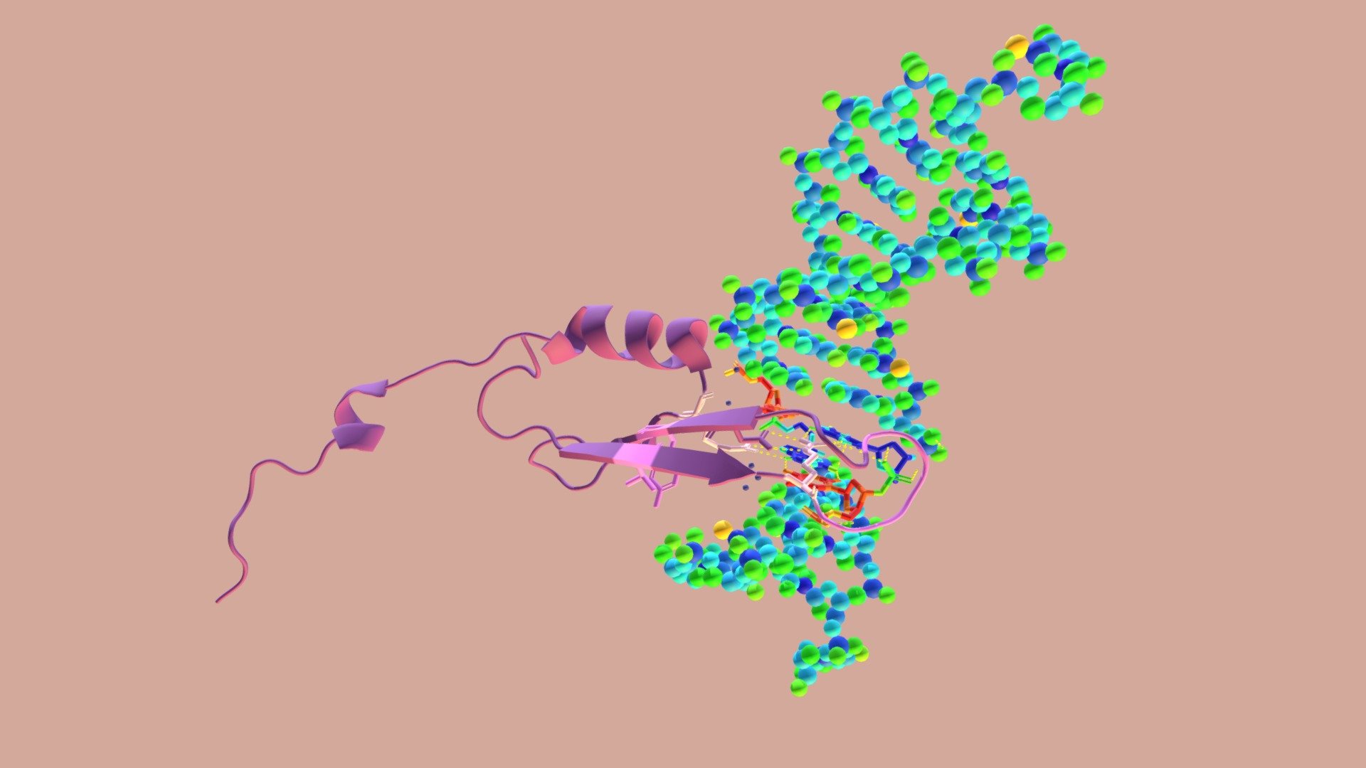 MBD4 protein - 3D model by Hannah.Newton [db871f8] - Sketchfab