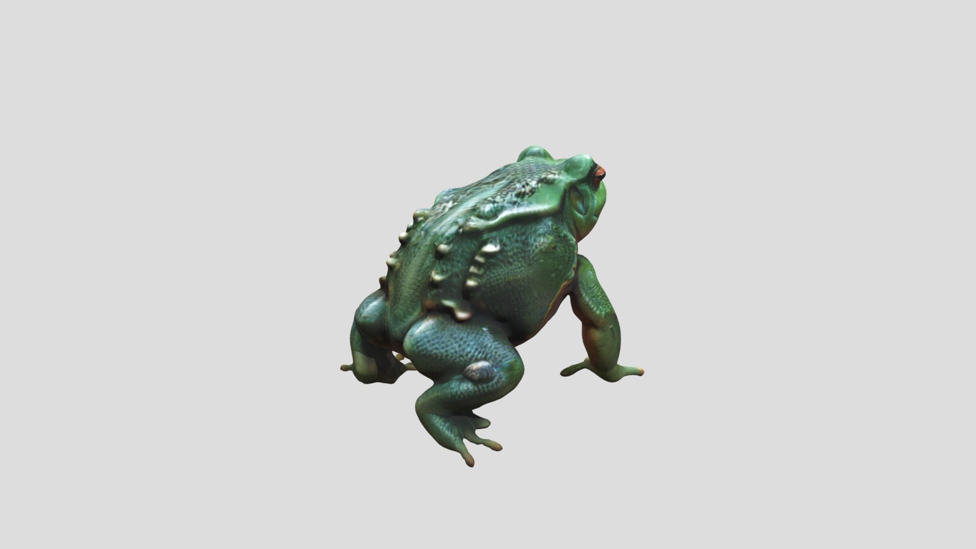 Standing_giant_toad_green_skin_animated - Download Free 3D model by ...