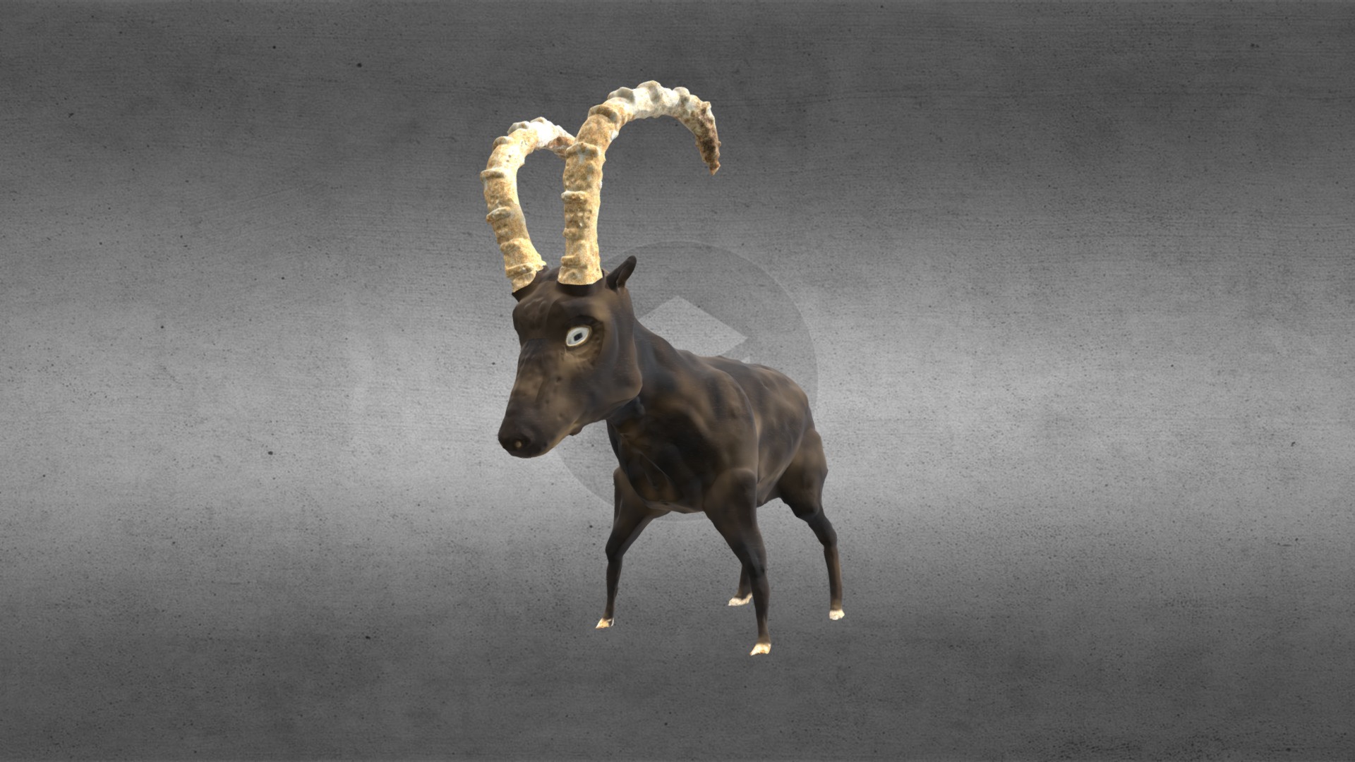 Goat - 3D model by Shapelab [db91cca] - Sketchfab