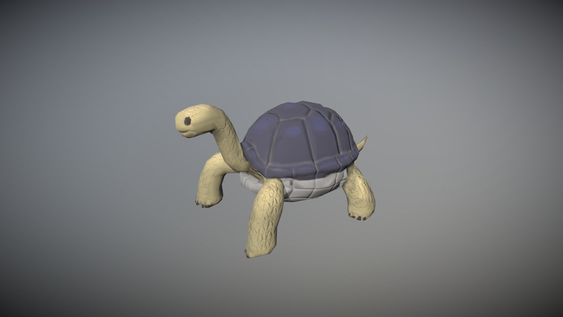 Tortoise - 3D model by SeaTurtle 海龜 (@darthturtle31) [db98efa] - Sketchfab