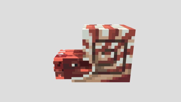Nautilus 3D models - Sketchfab