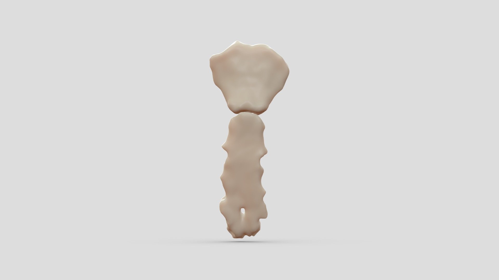 Sternal Aperture - 3D model by Terrie Simmons-Ehrhardt (@terrielsimmons ...