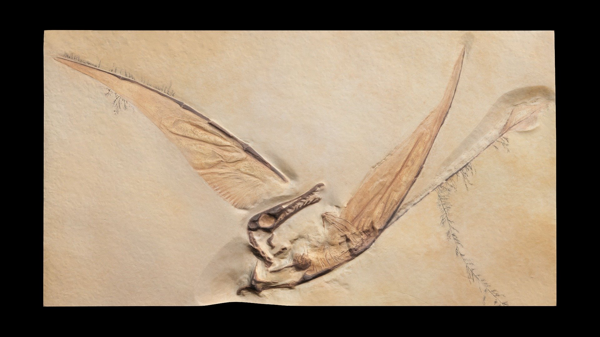 Pterosaur - Download Free 3D model by Benoît Rogez (@shadows44 ...