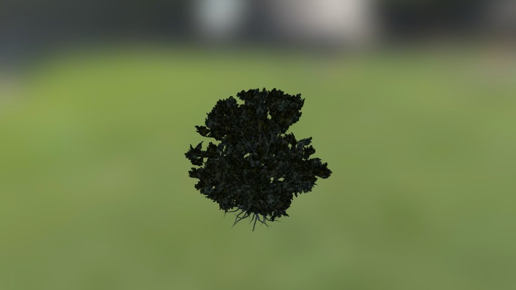 Gnarly ol' tree - 3D model by BrenJDavis [dbbff9f] - Sketchfab