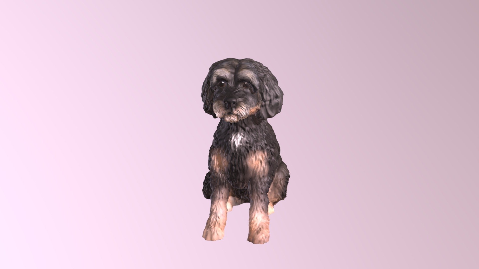 181004- Frisker- Cockapoo - 3D model by Arty Lobster - Pet Sculptures ...
