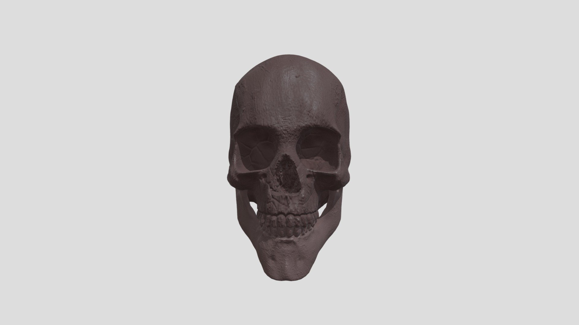 Skull - Download Free 3D model by ☕Mr. DaBois Official☕ YT (@DaBois22 ...