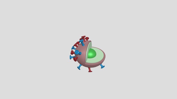 Virus 3D models - Sketchfab