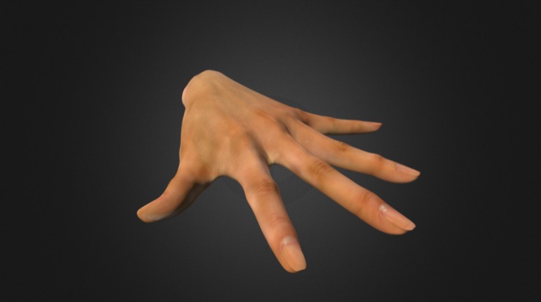 Realistic Hand - 3D model by Tengu (@tenguspeak) [dbde224] - Sketchfab
