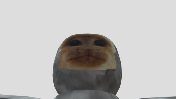 Capuchin 3D models - Sketchfab