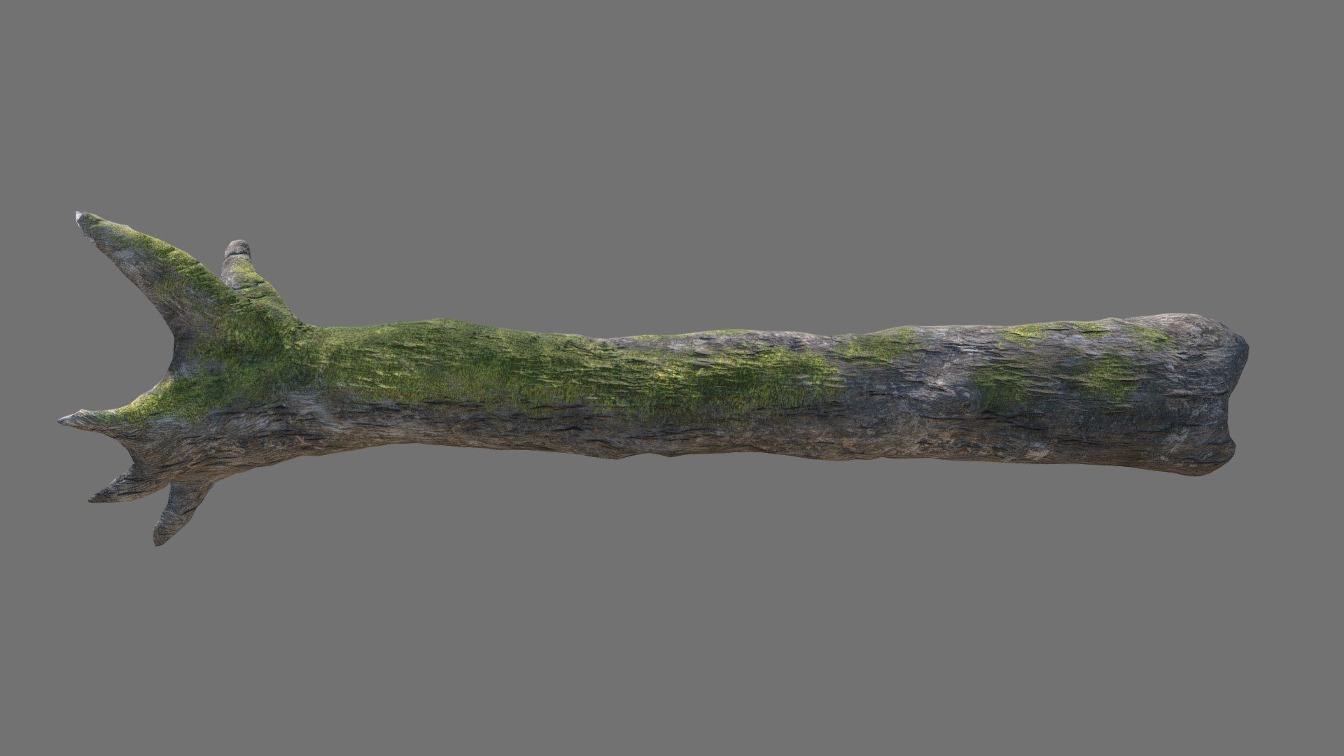 Tree Log A - 3D model by Joseph (@perpetualchange) [dbe264b] - Sketchfab