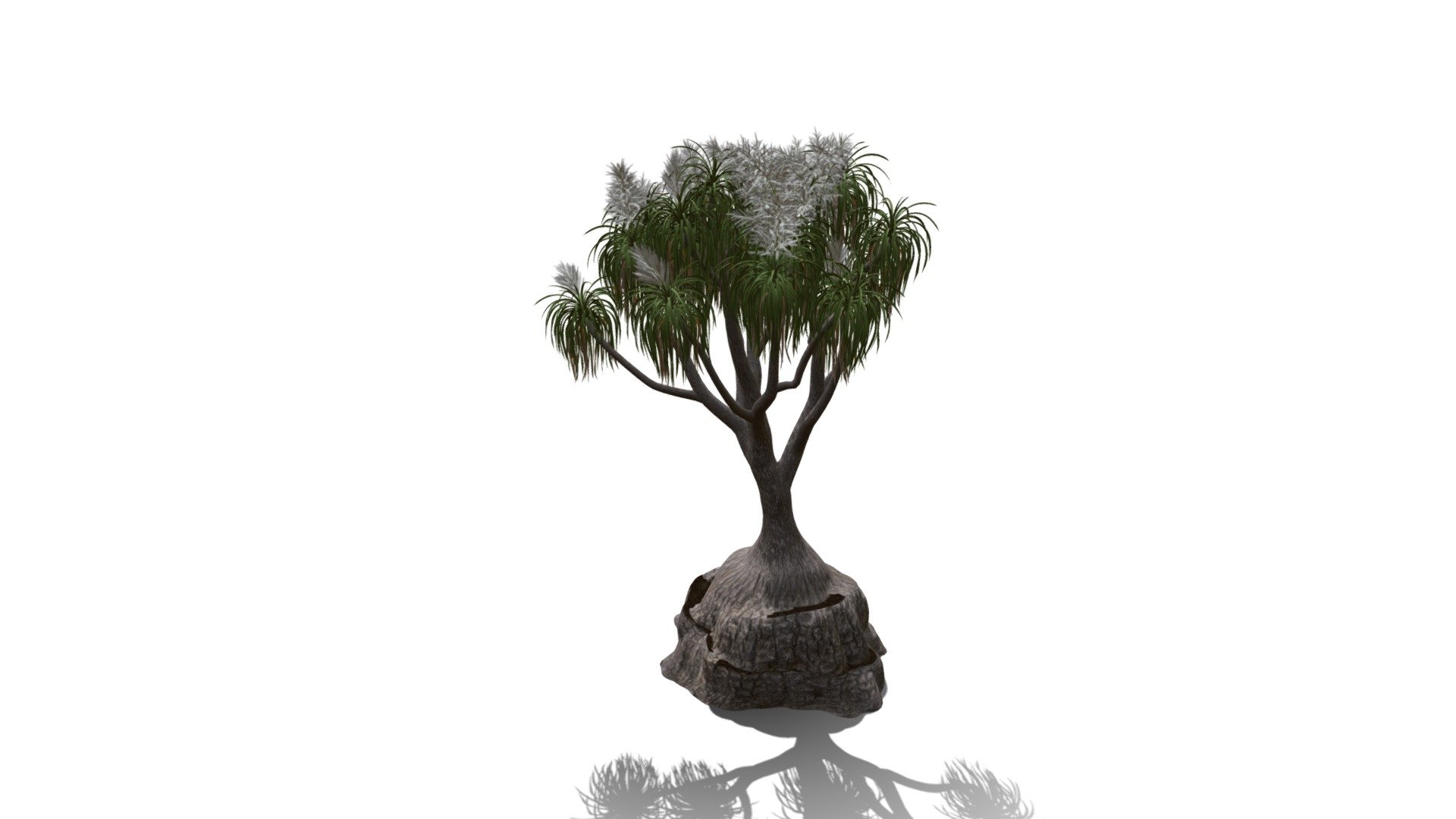 Realistic HD Elephant Foot (19/40) - Download Free 3D model by ...