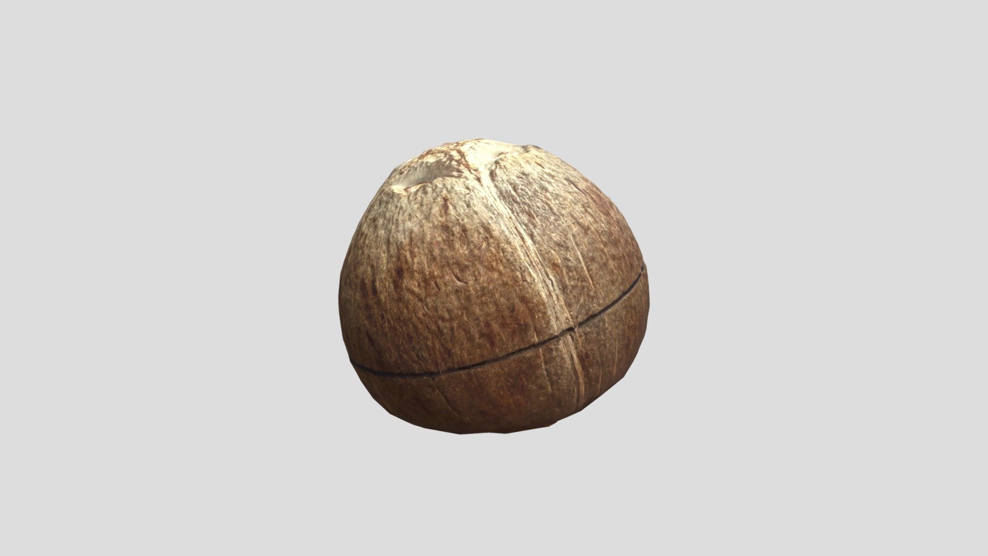 Coconut - Download Free 3D model by andreiedward [dbf12a6] - Sketchfab