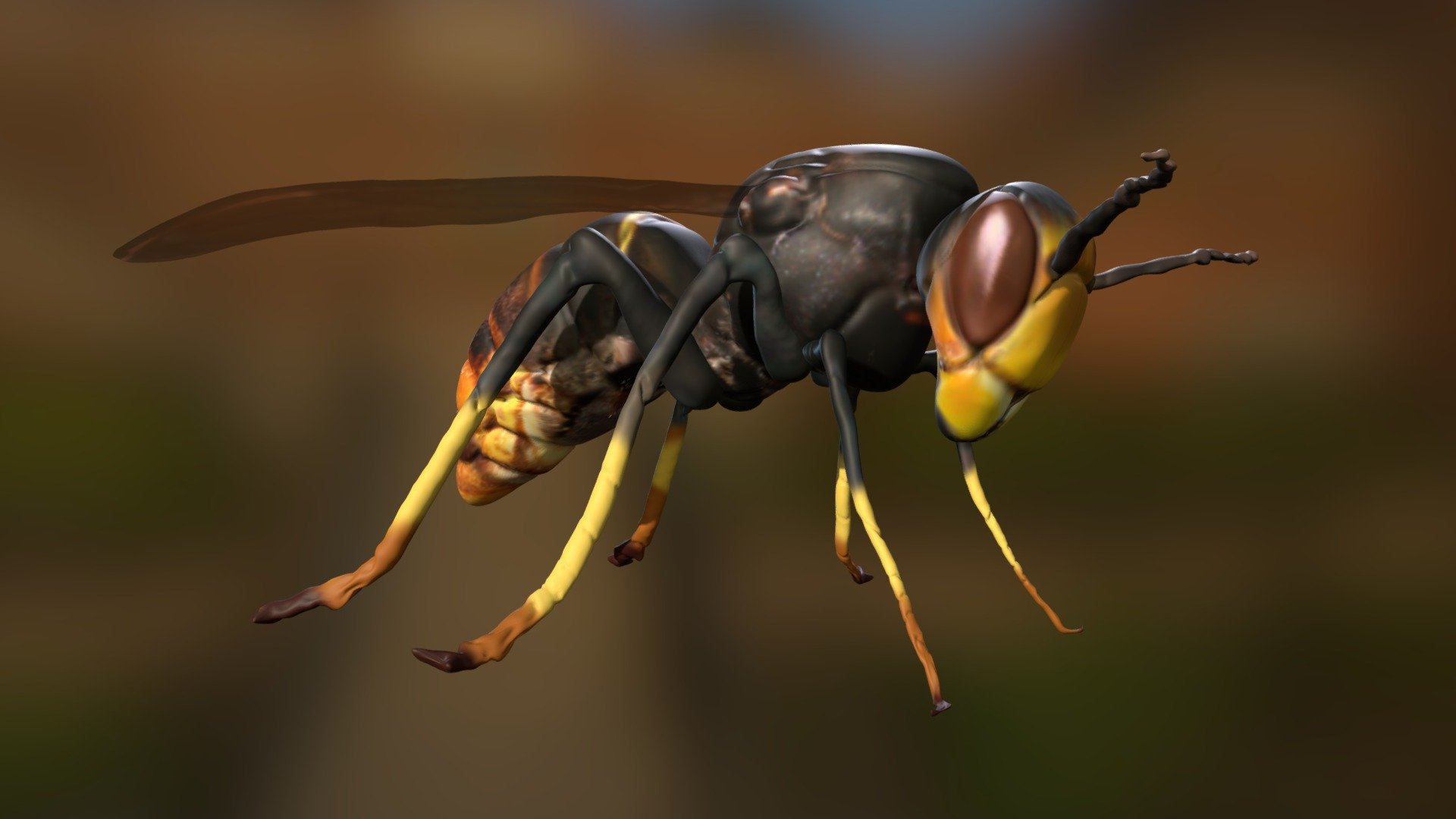 Vespa Velutina ANIMATED - Buy Royalty Free 3D model by antoniorafanelli ...