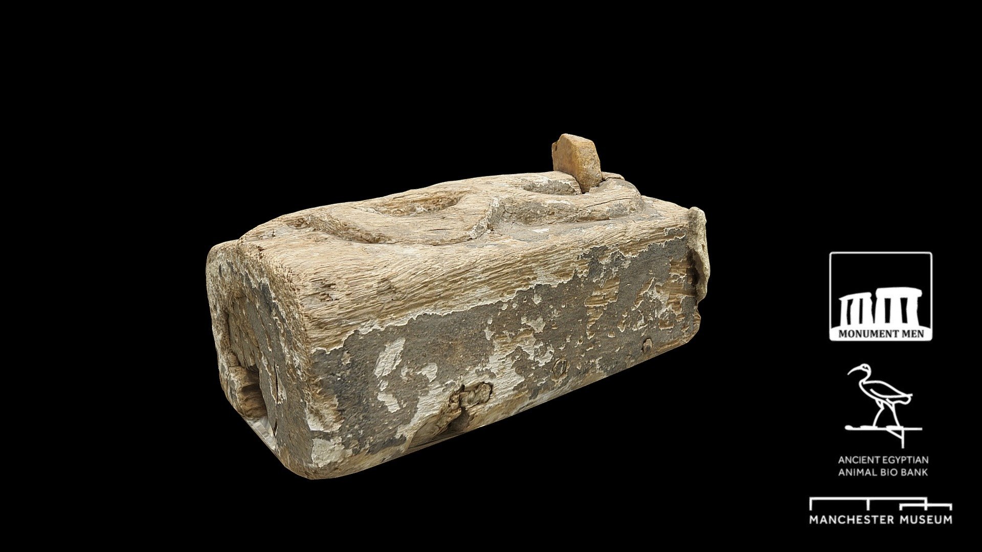 Snake Coffin - 3D model by Ancient Egyptian Animal Bio Bank ...