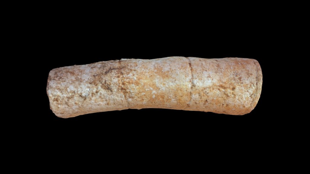 Bone Tube - 3D model by Cave Archaeologist (@cavearch) [dc06b45 ...