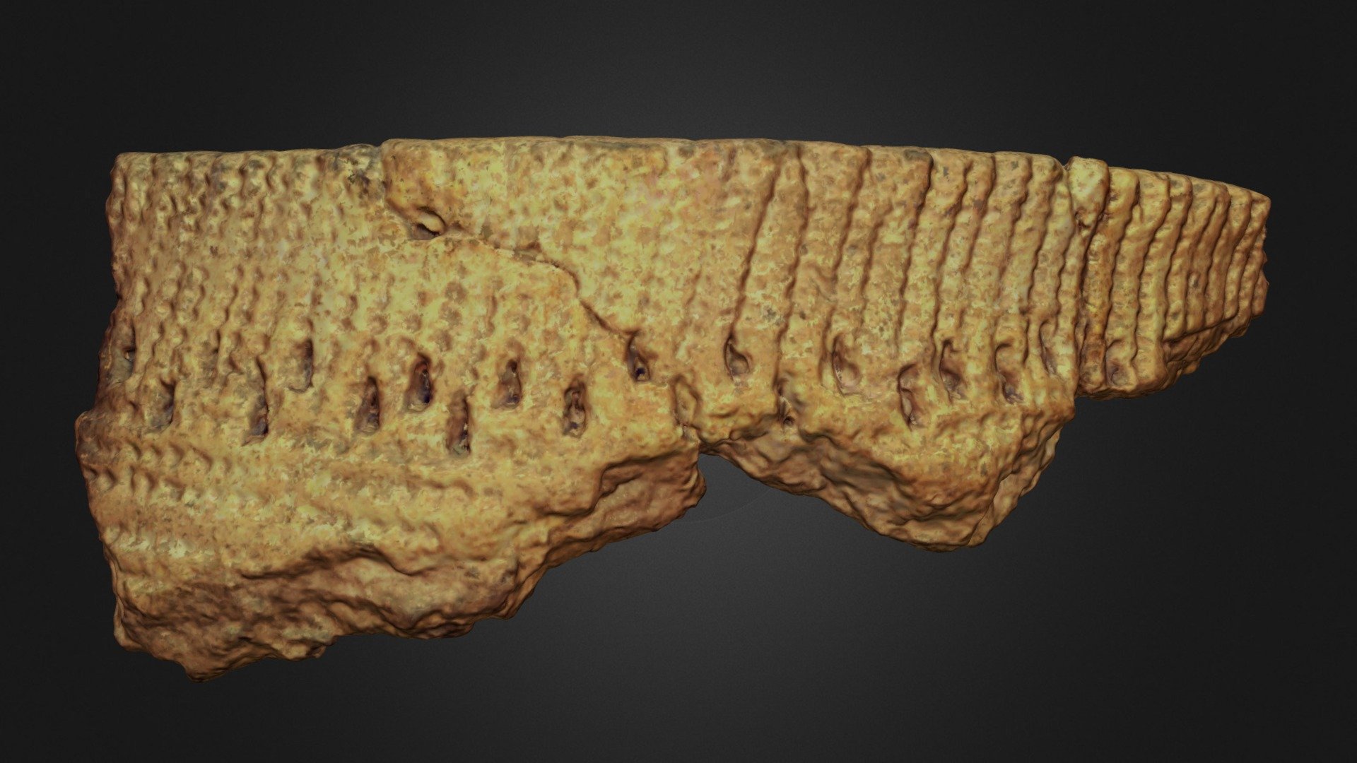 EaKa-1 Laurel Rim - 3D model by Lakehead Anthropology ...
