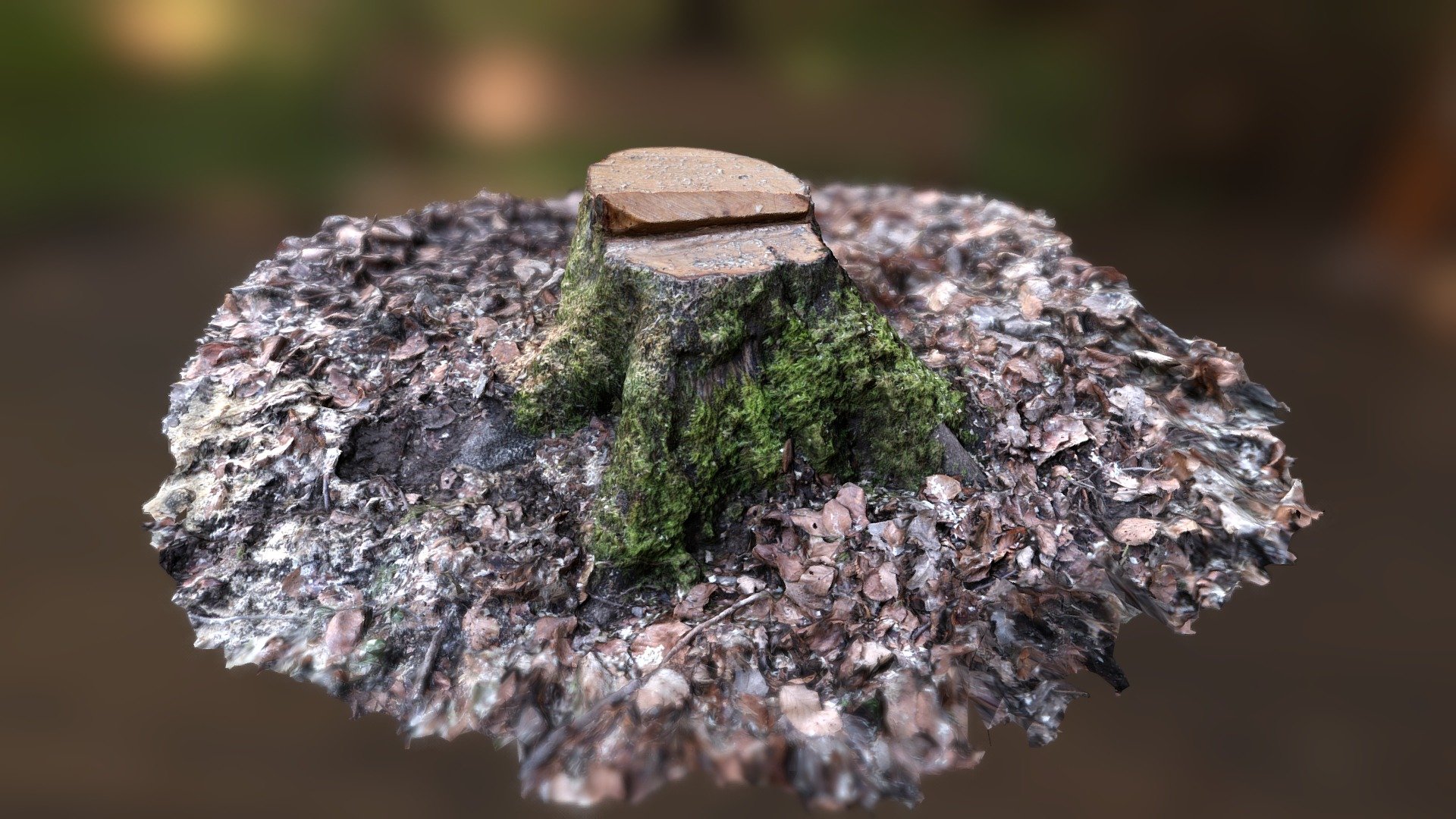 Cut Tree - Download Free 3D model by Musée national d'histoire ...