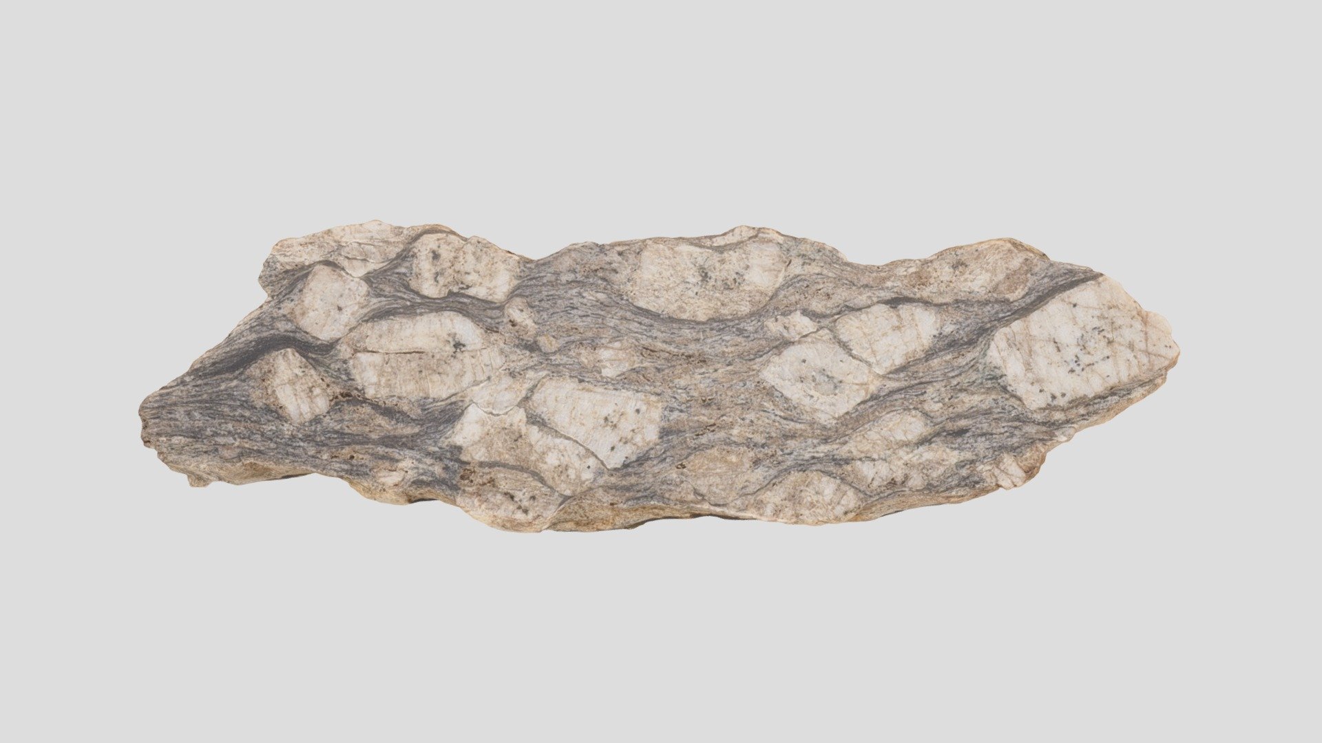New Jena specimen No. 4 - Download Free 3D model by Marko Vrabec ...