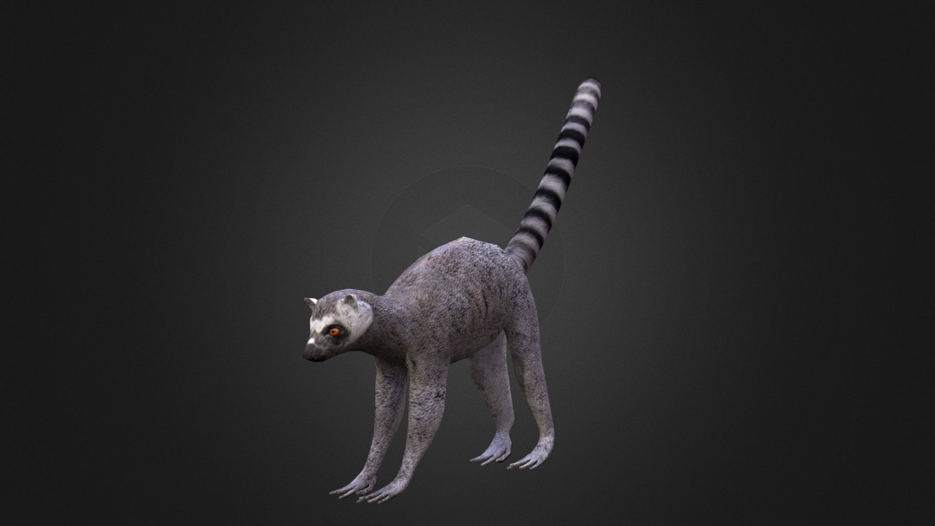Lemur - 3D model by Ondřej Vališ (@throy) [dc18fef] - Sketchfab