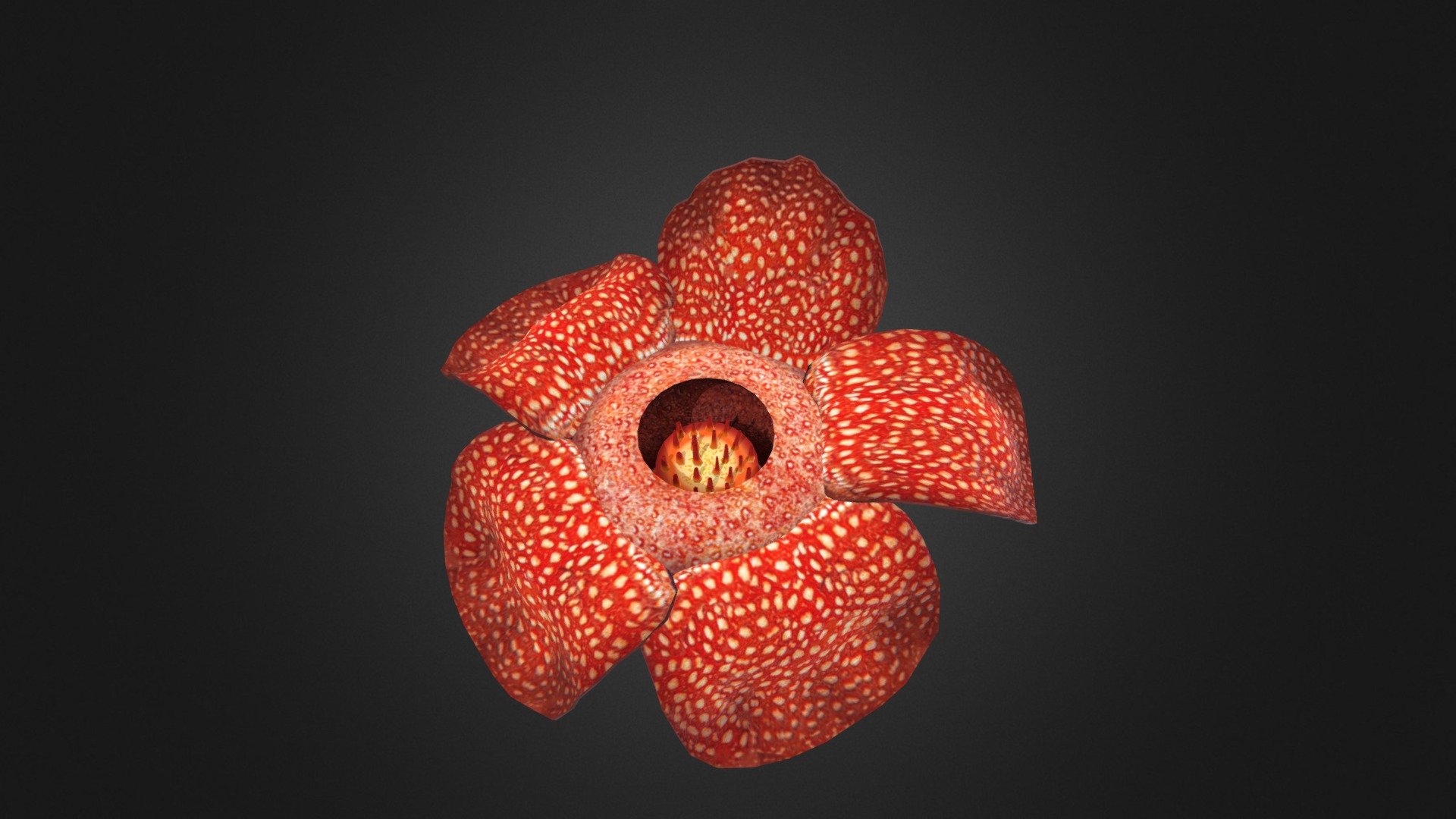 Rafflesia on a rotten log4 - 3D model by M 3D (@mbagidea) [dc1fe26 ...
