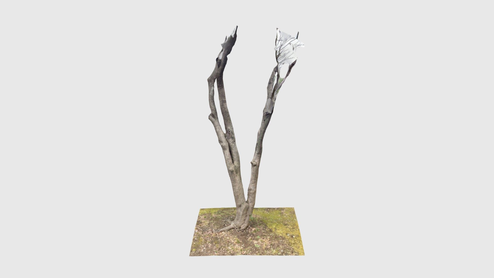 230127_test01_scaniverse - Download Free 3D model by rurbandesignoffice ...