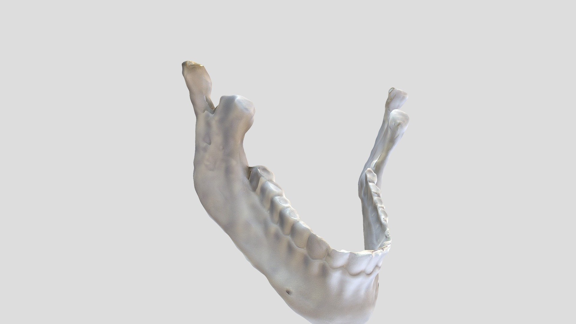 Lower Jaw (Mandible) Drawing Reference (Male) - Buy Royalty Free 3D ...