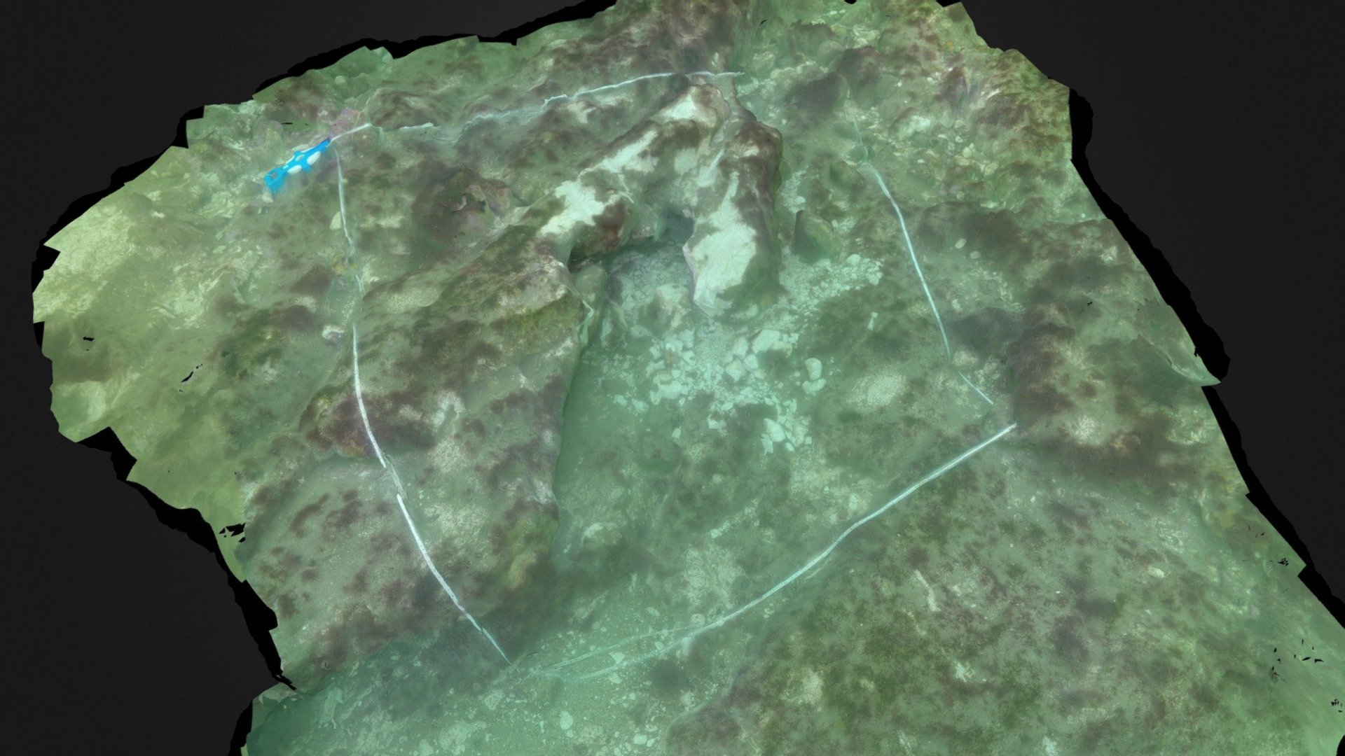 Chalk reef quadrat (East Runton, Norfolk, UK) - 3D model by Jon ...