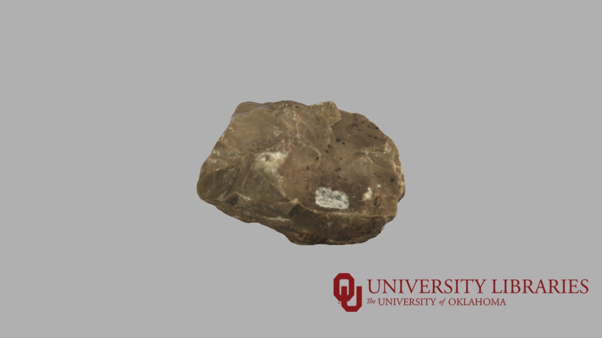 Limestone - 3D model by OU Libraries (@libedge) [dc3ab3a] - Sketchfab