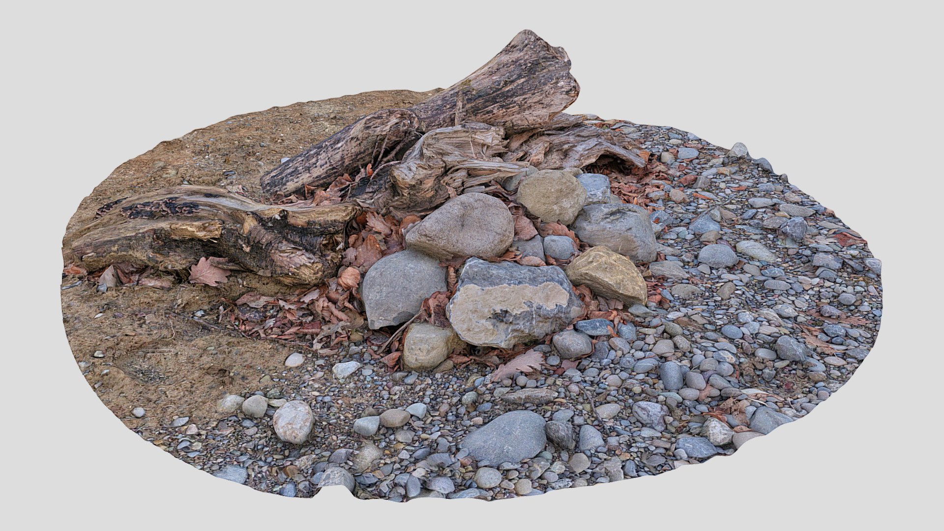 Tree torn scan 8k 022 - Buy Royalty Free 3D model by immerge [dc47c3d ...