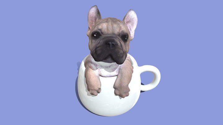 Schnauzer 3D models - Sketchfab