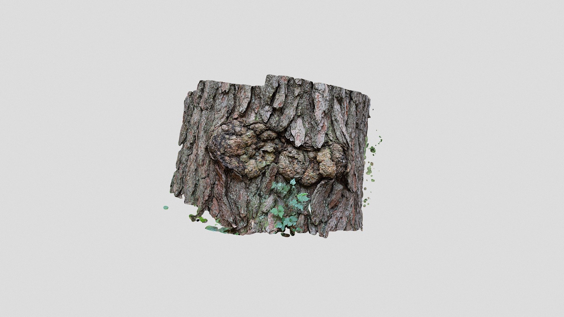 tree 1 - 3D model by jchaplin [dc497f1] - Sketchfab
