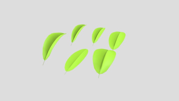 Leaf 3D models - Sketchfab