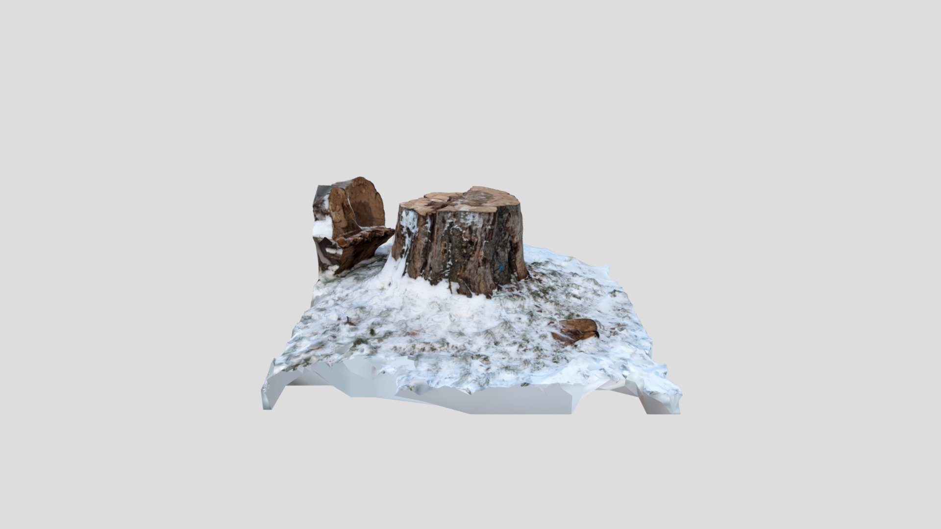 Tree Stump Scan - Download Free 3D model by aqwmantest (@aqwaqwaq8 ...