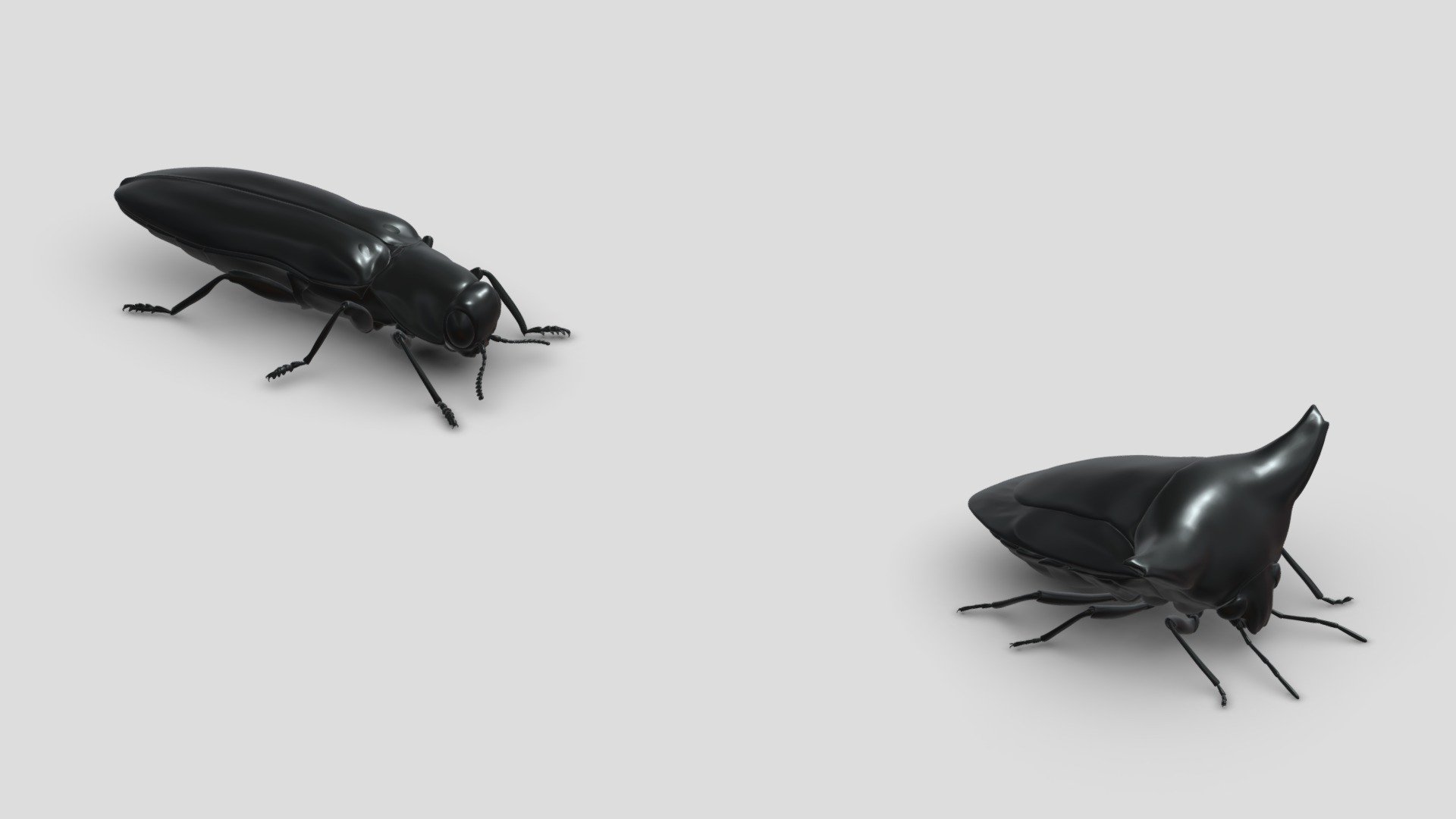 Insects&beetles-pack10 - 3D model by 1225659838@qq.com (@Novaky ...