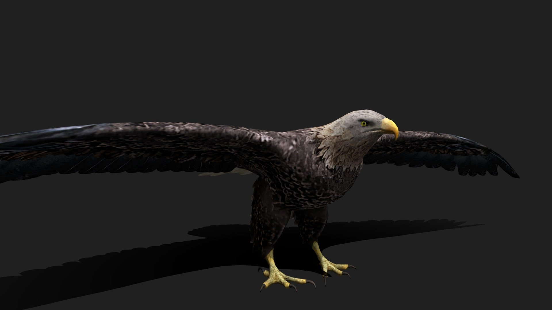 Realistic Eagle 3D Model - 3D model by WildMesh 3D (@WildMesh_3D ...