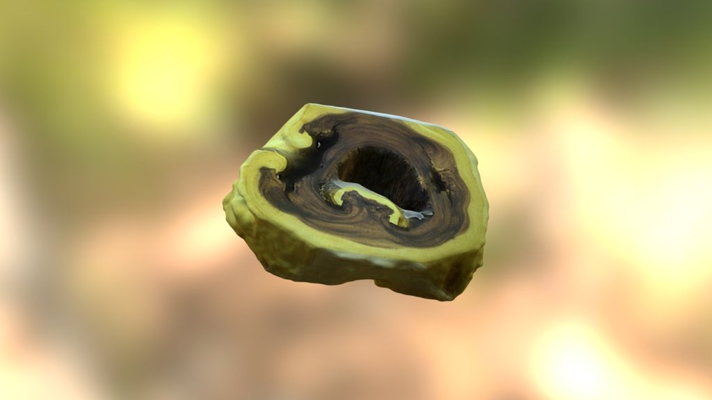 wood_object - 3D model by LOFT22 [dc5fba6] - Sketchfab