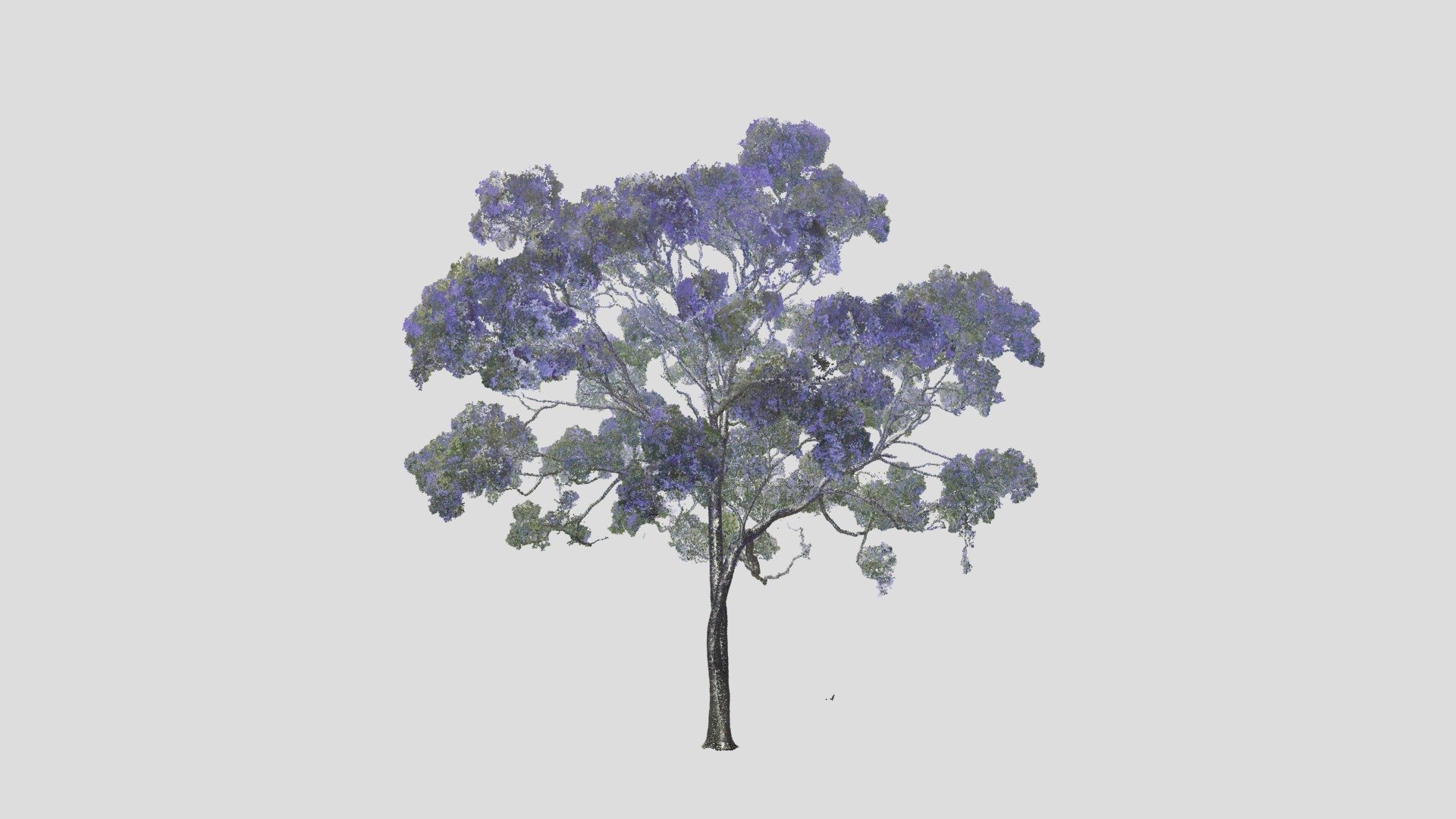 Tree Point Cloud - Buy Royalty Free 3D model by magnum_opus (@tree ...