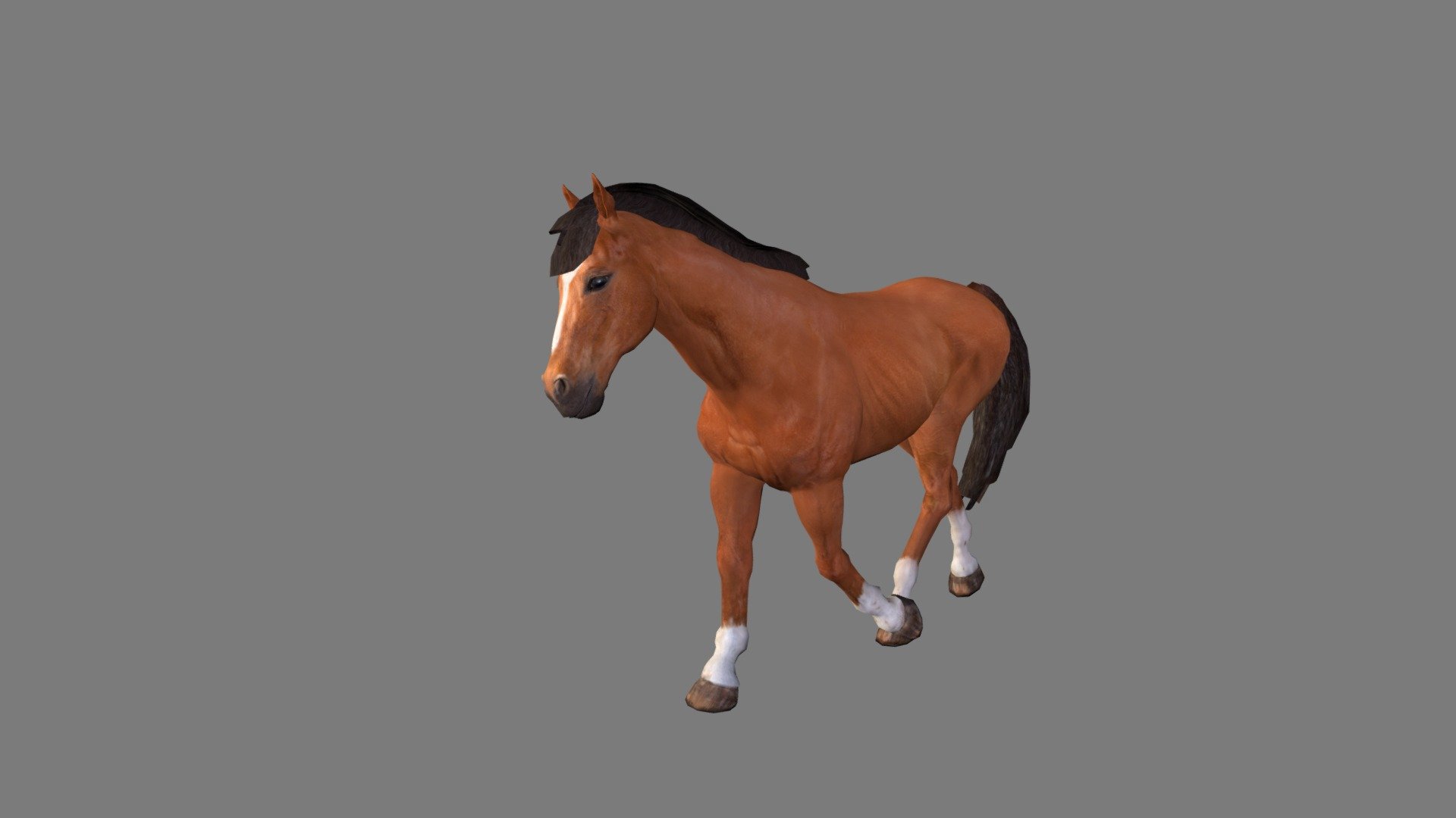 Trot - 3D model by Centroid Motion Capture (@Centroid) [dc627c2 ...