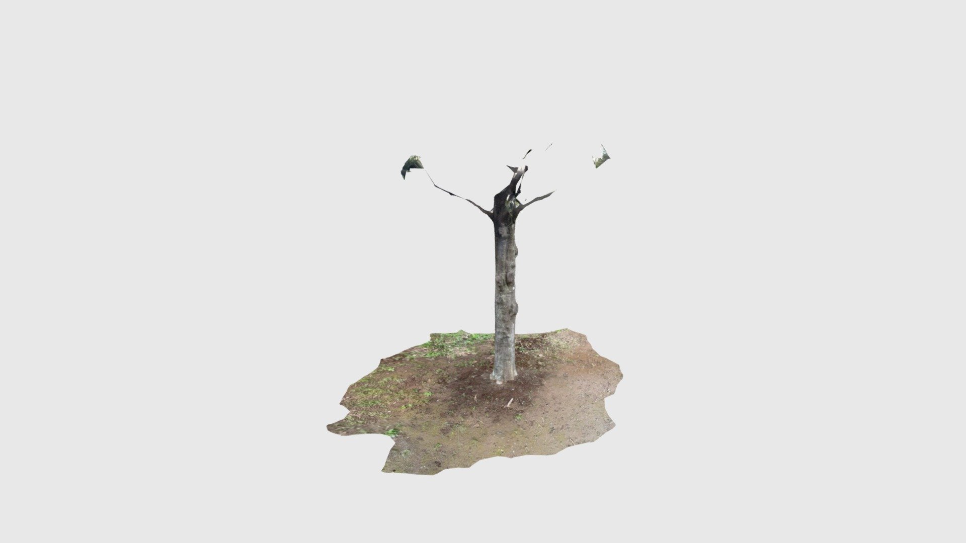 tree - Download Free 3D model by specialudon [dc68080] - Sketchfab