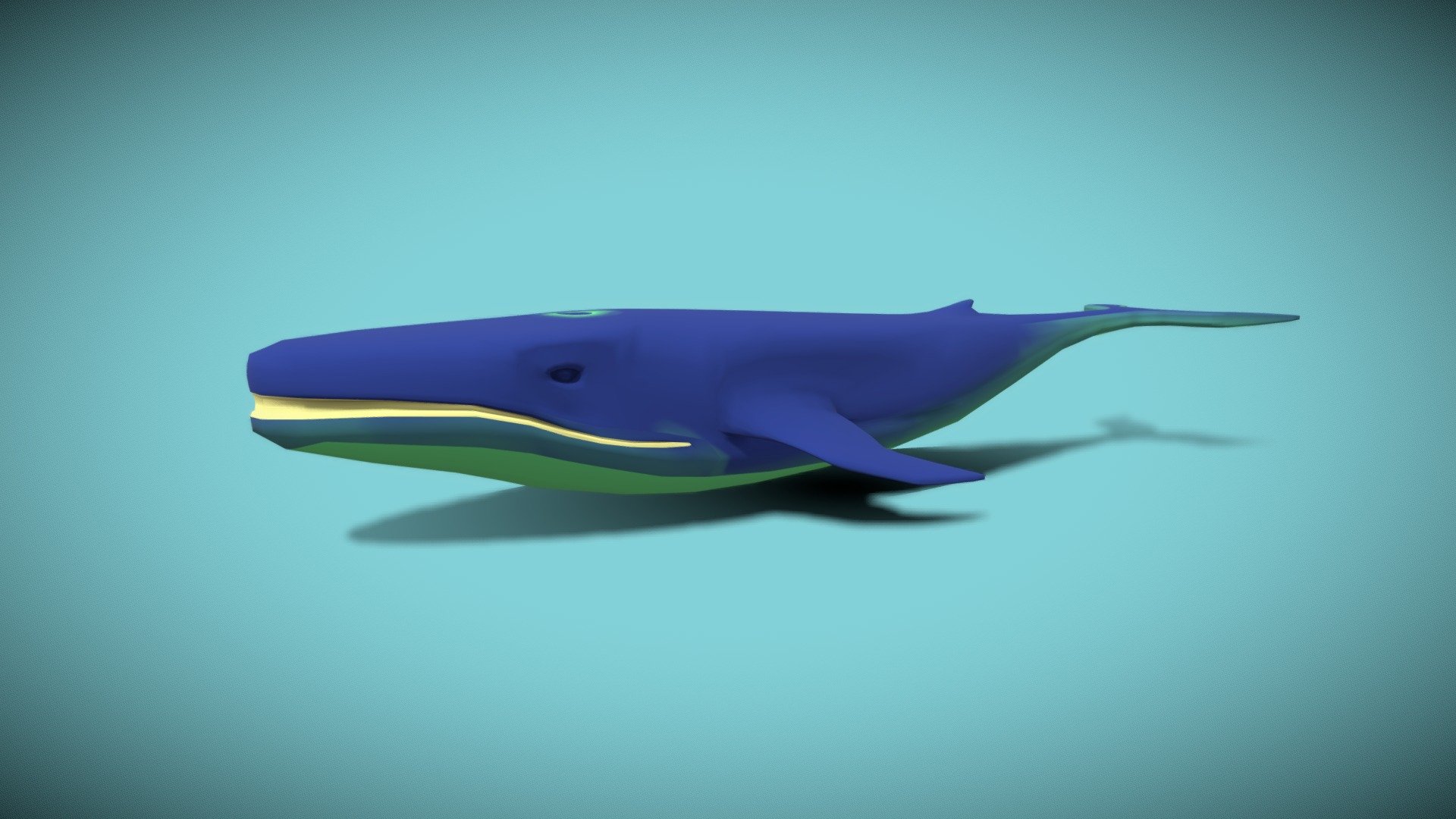 Whale Fund. Maya - 3D model by onecanbehere [dc6fa02] - Sketchfab