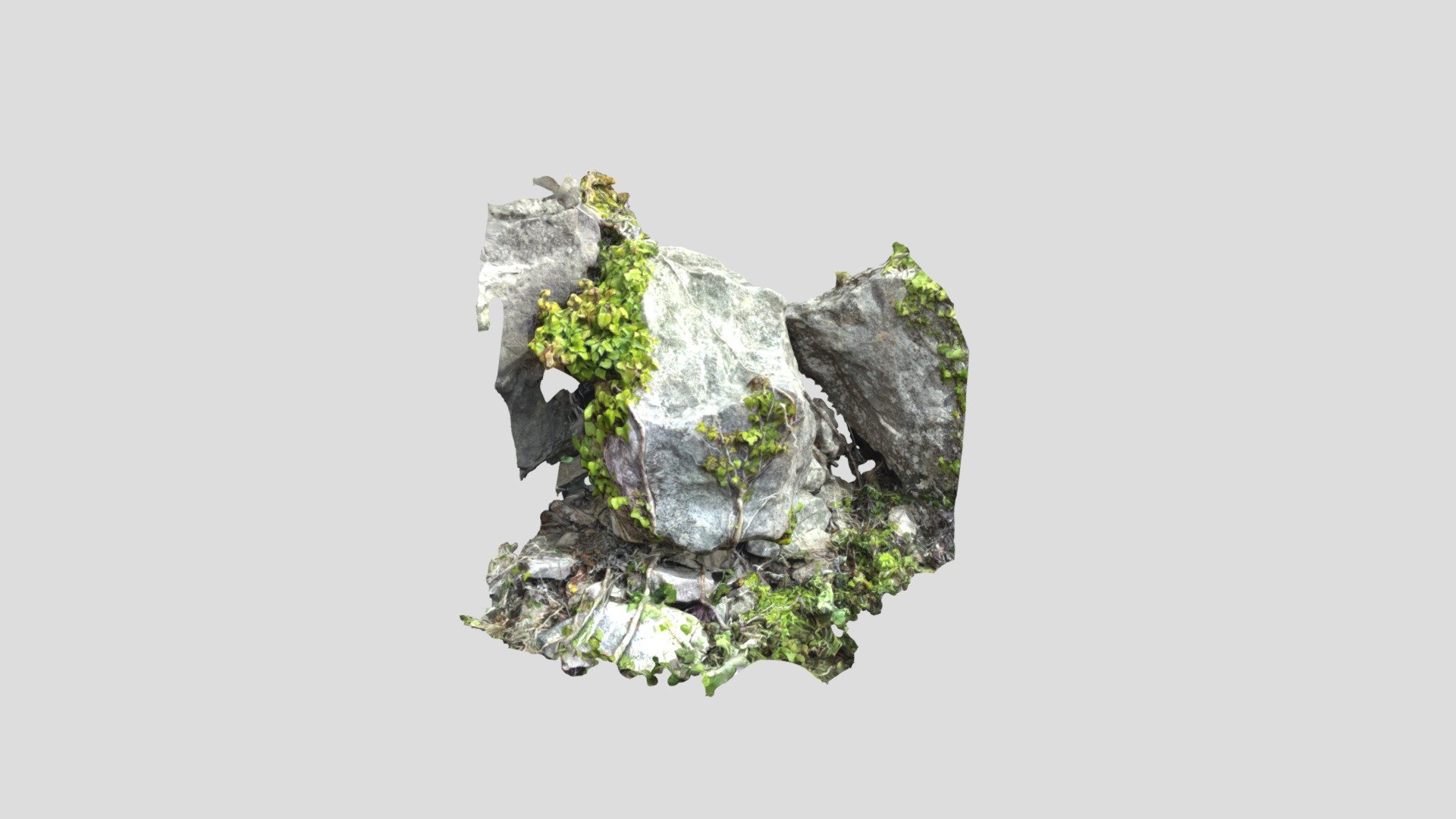 Textured - 3D model by Lab-In-Your-Pocket (@LabInYourPocket) [dc7b177 ...